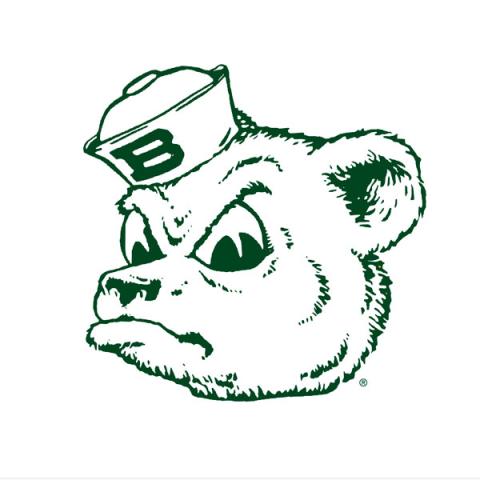 baylor bears coloring pages